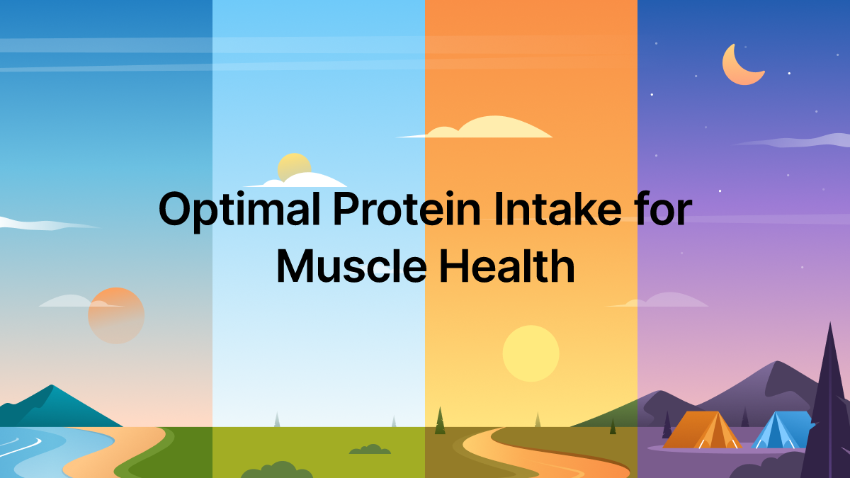 Optimal Protein Intake for Muscle Health