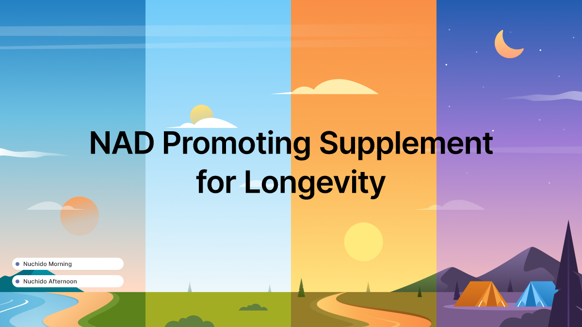 NAD Promoting Supplement for Longevity