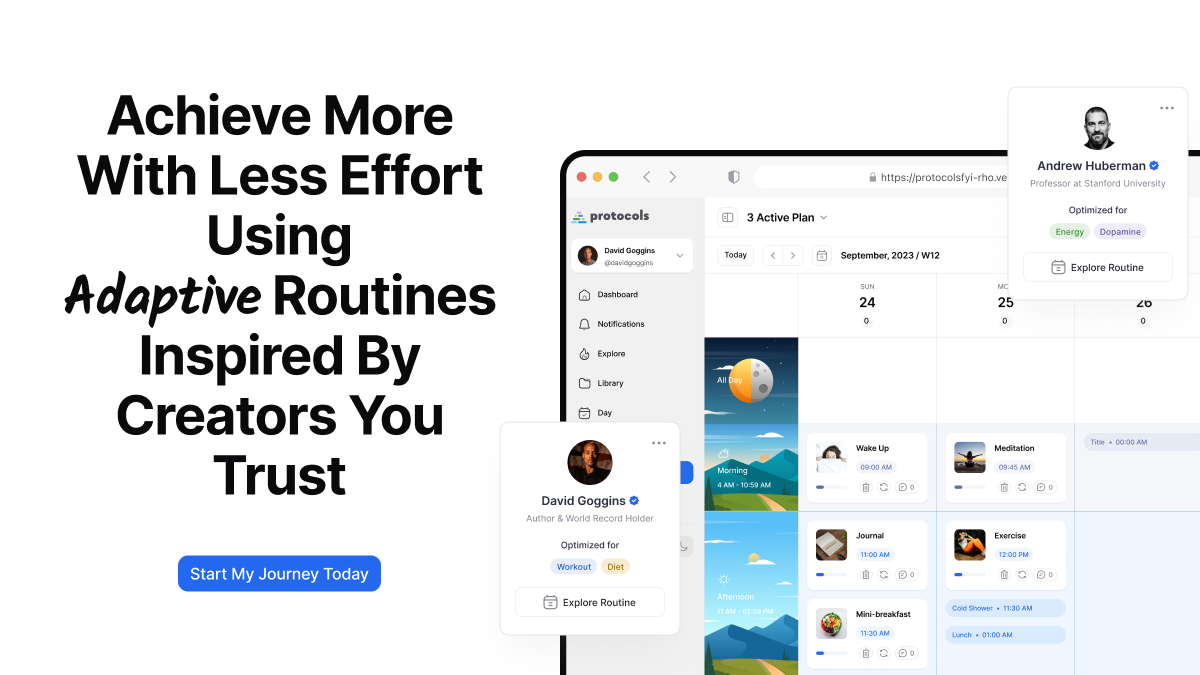 Cognitive Function Support